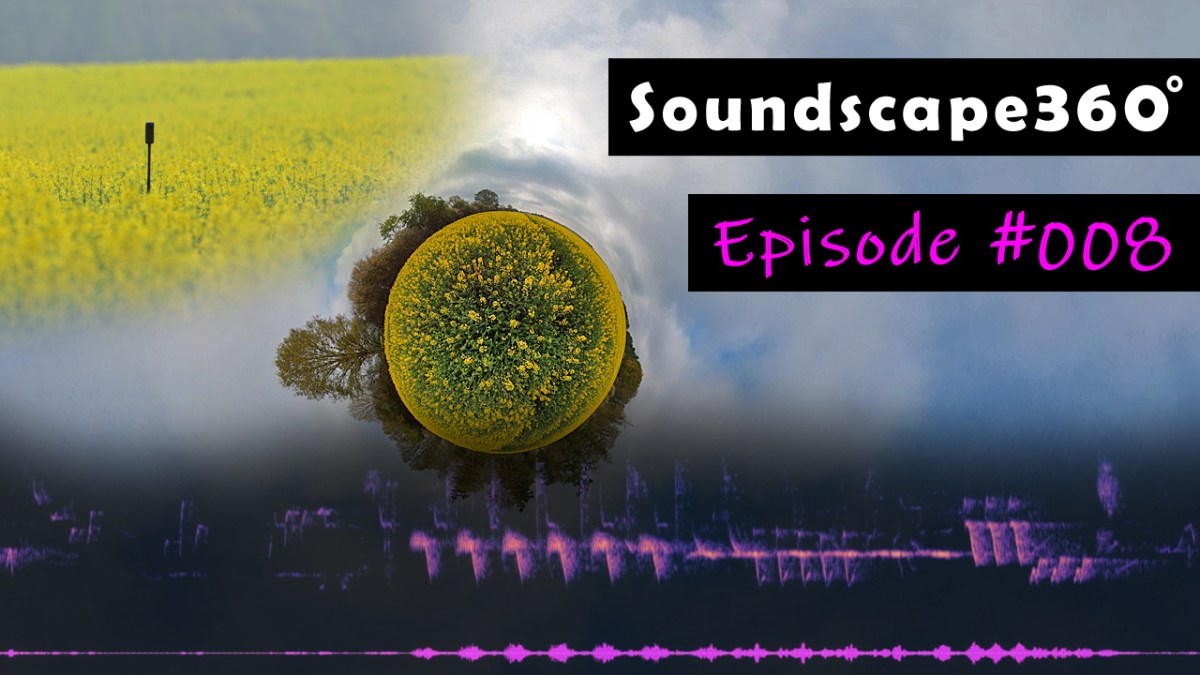 Listen to the intense song of the Common Nightingale – Soundscape360°
